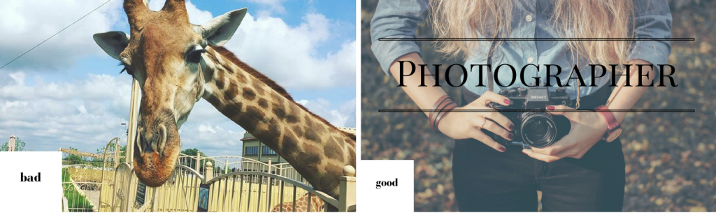 Creative LinkedIn Background Photo - Resume Writing Lab